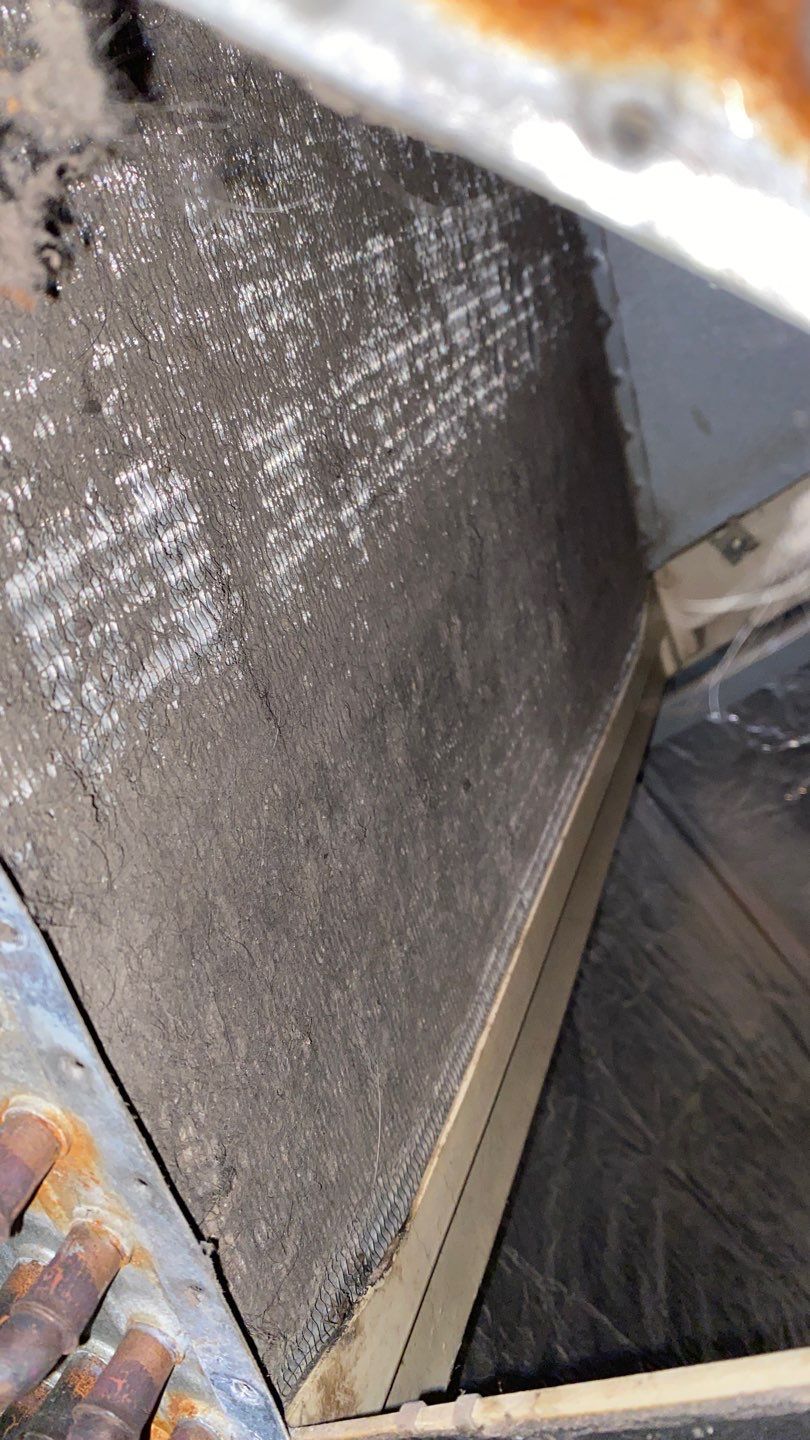 Cat or Rat Urine in Air Ducts - Serving Northern Colorado Cat or Rat Urine in Air Ducts - Serving Northern Colorado